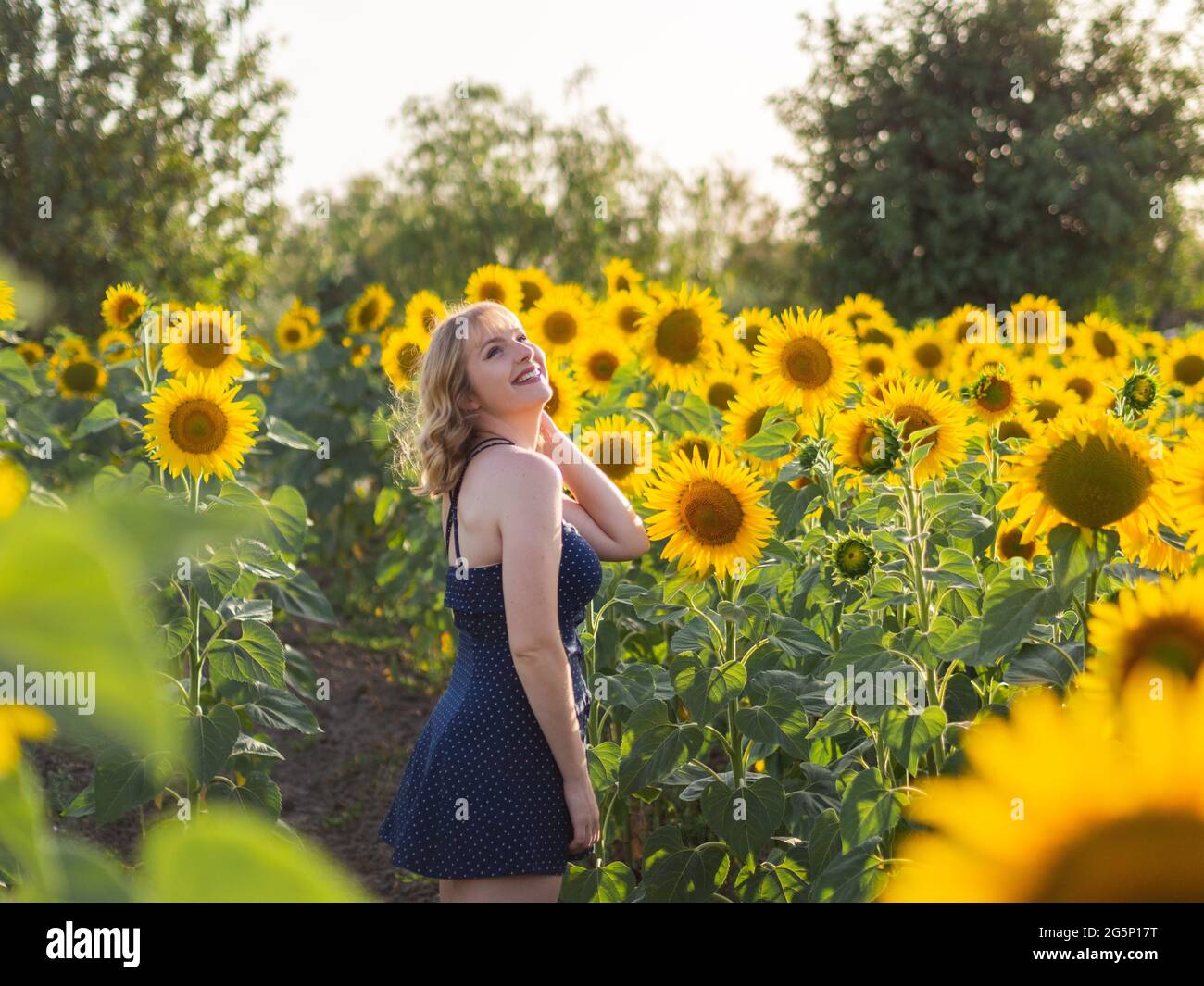 Beautiful young smiling female posing in a sunflower field Stock Photo ...