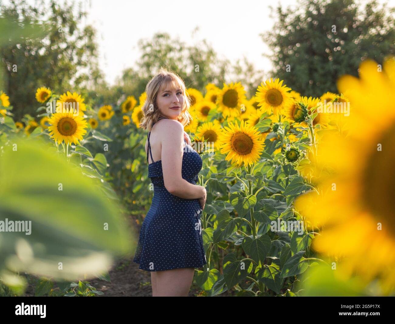 Beautiful young smiling female posing in a sunflower field Stock Photo ...