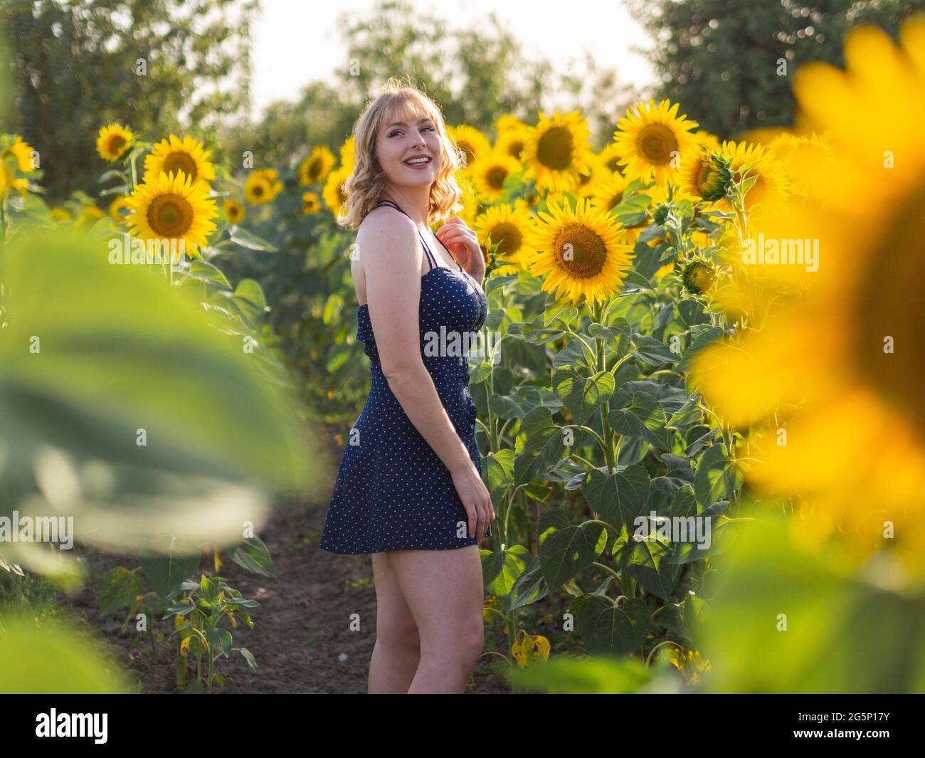 Beautiful young smiling female posing in a sunflower field Stock Photo ...