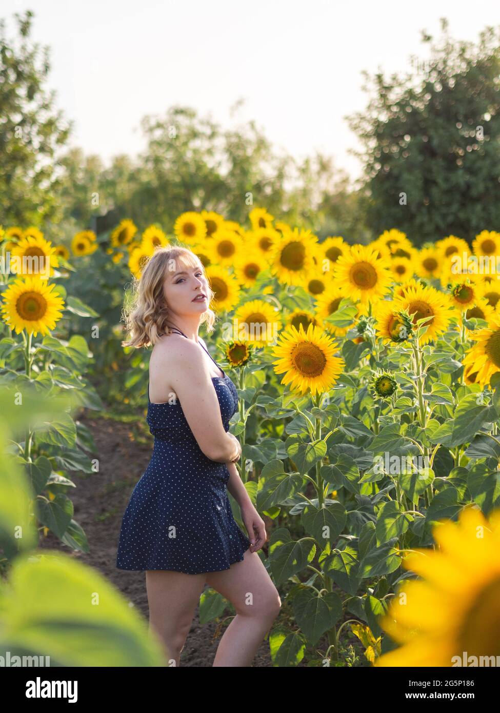 Beautiful young female posing in a sunflower field Stock Photo - Alamy