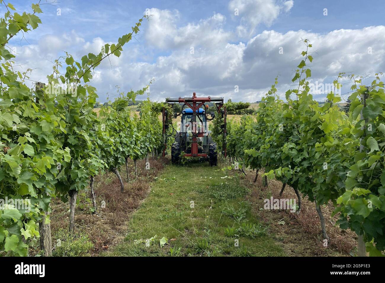 Machine mechanized agriculture hi-res stock photography and images - Alamy