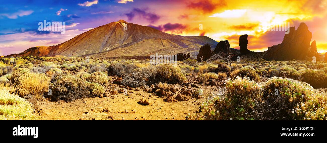 Nature volcanic landscape.Landmark in Spain.Teide volcano in Canary ...
