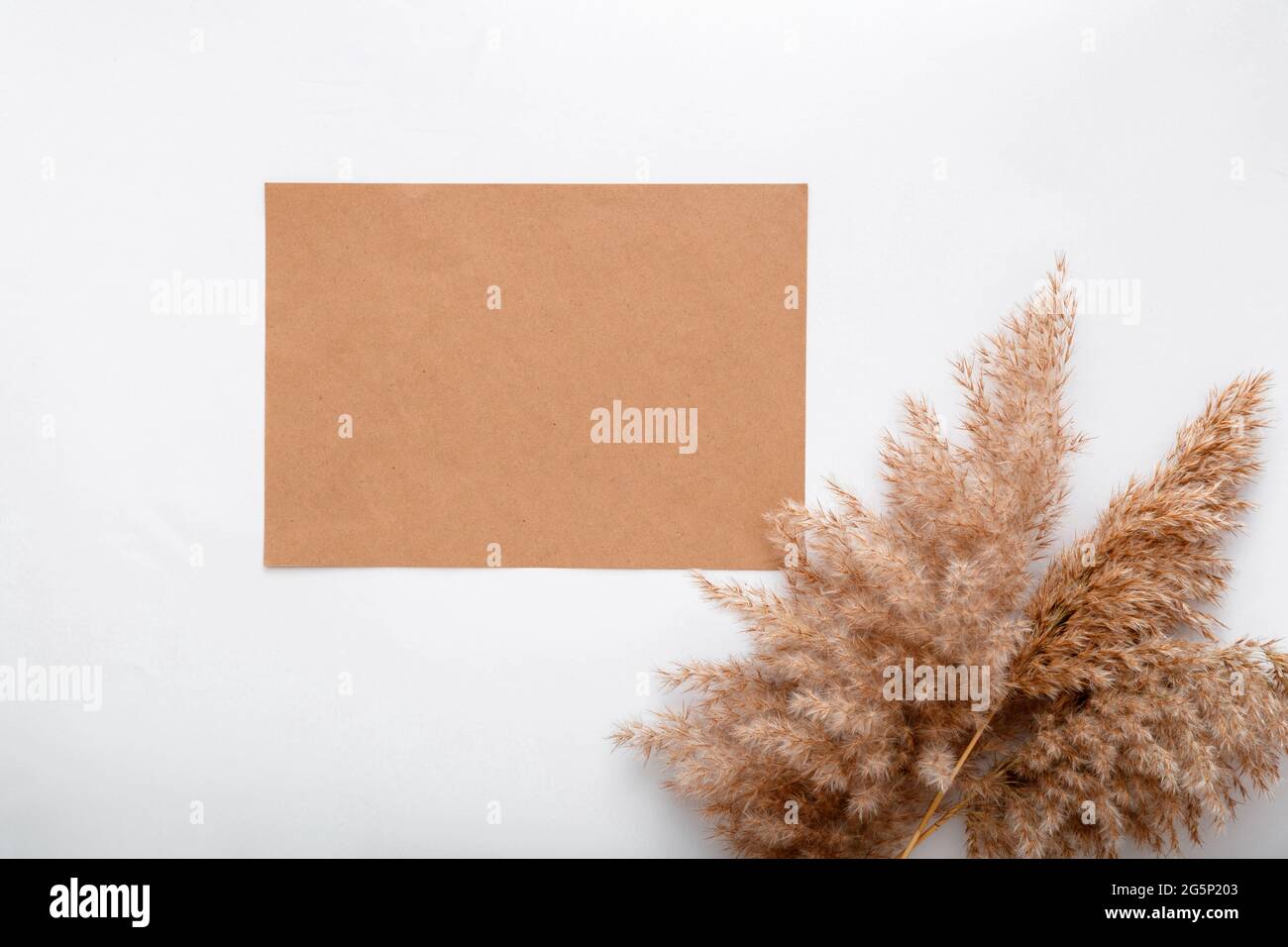 Beige wedding invitation card template hi-res stock photography and ...