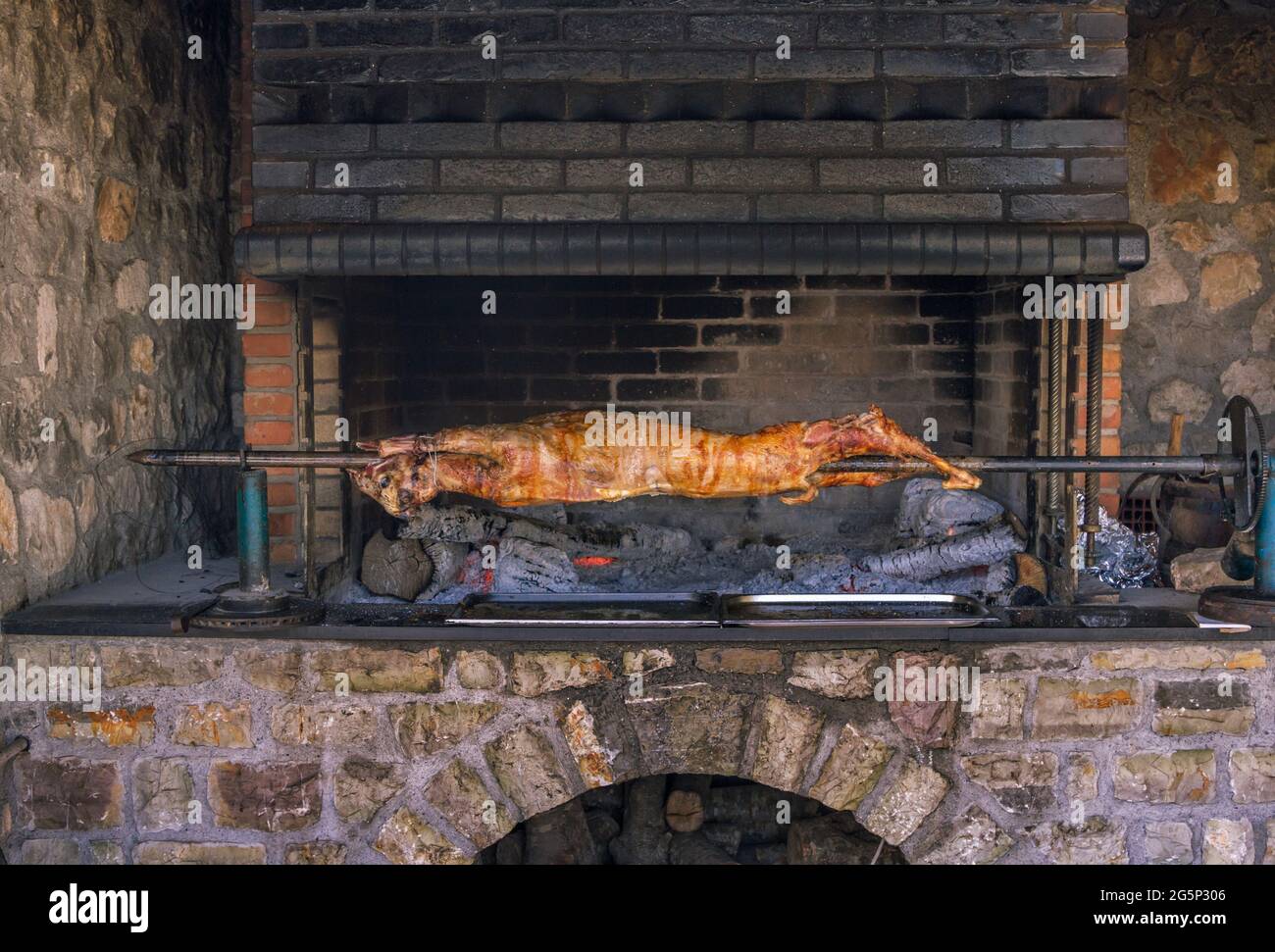 Baking whole goat at roasting-jack on fire. Traditional Albanian dish ...