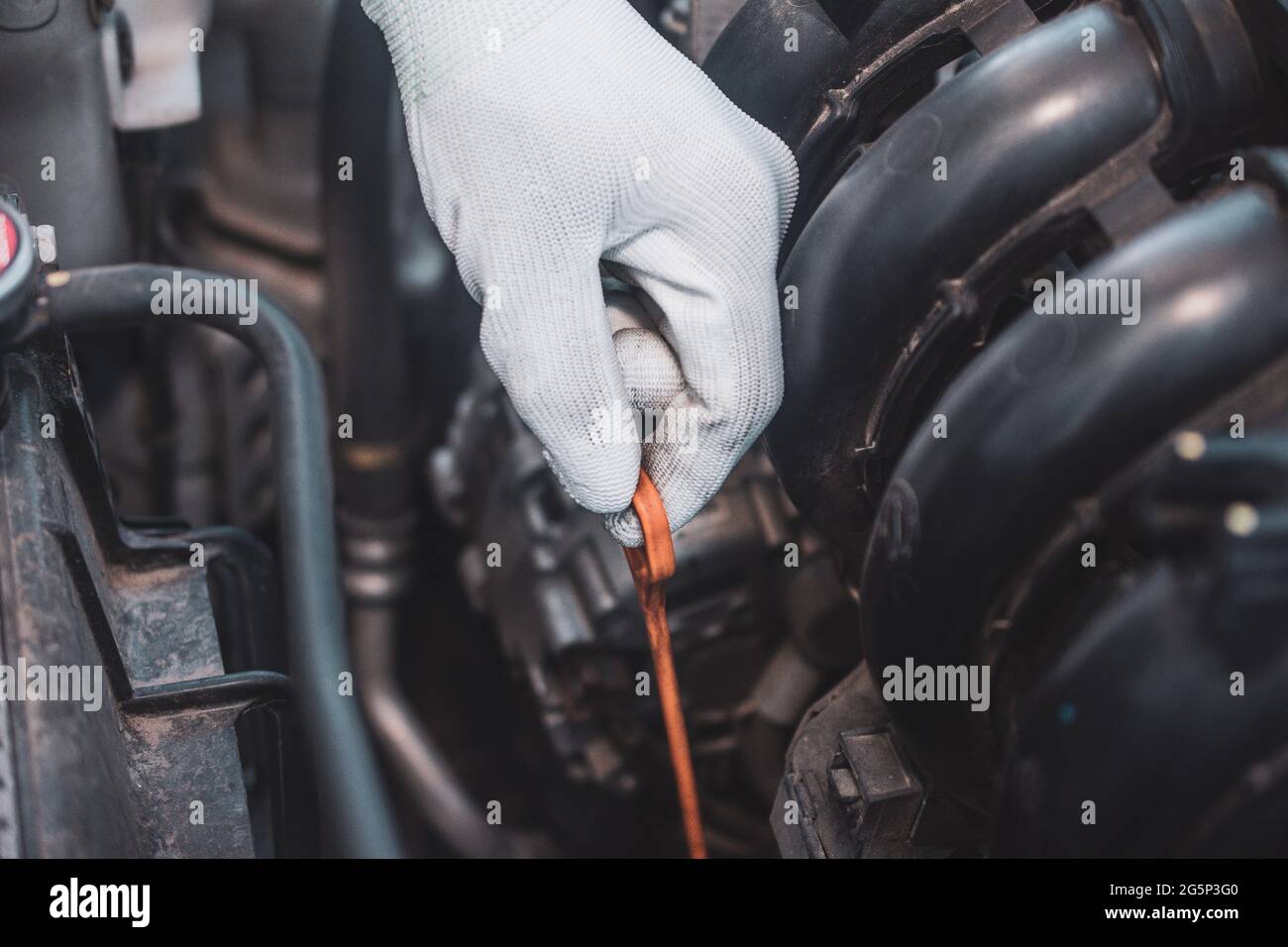 Oil dipstick hi-res stock photography and images - Alamy