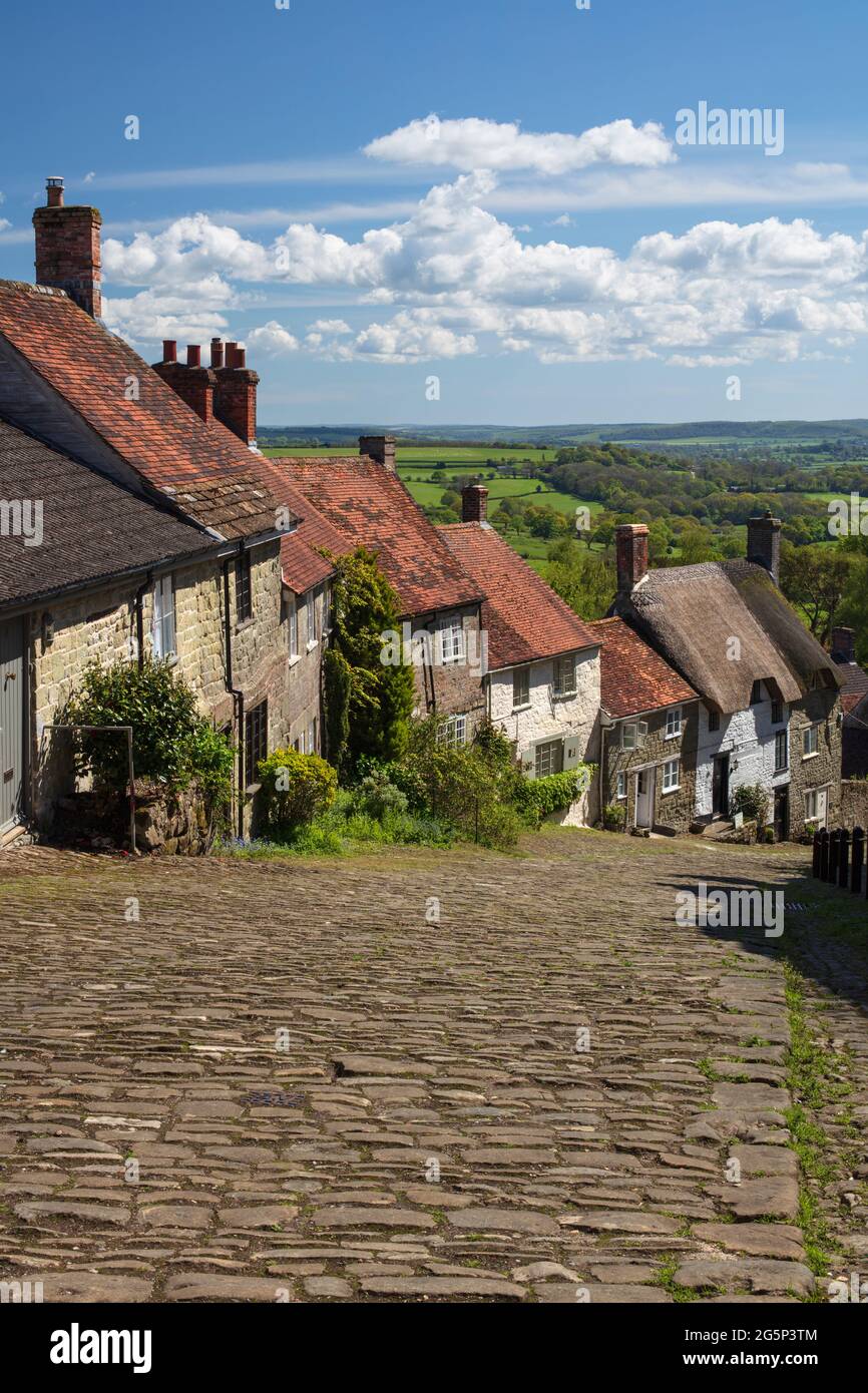 Cranborne chase spring hi-res stock photography and images - Alamy