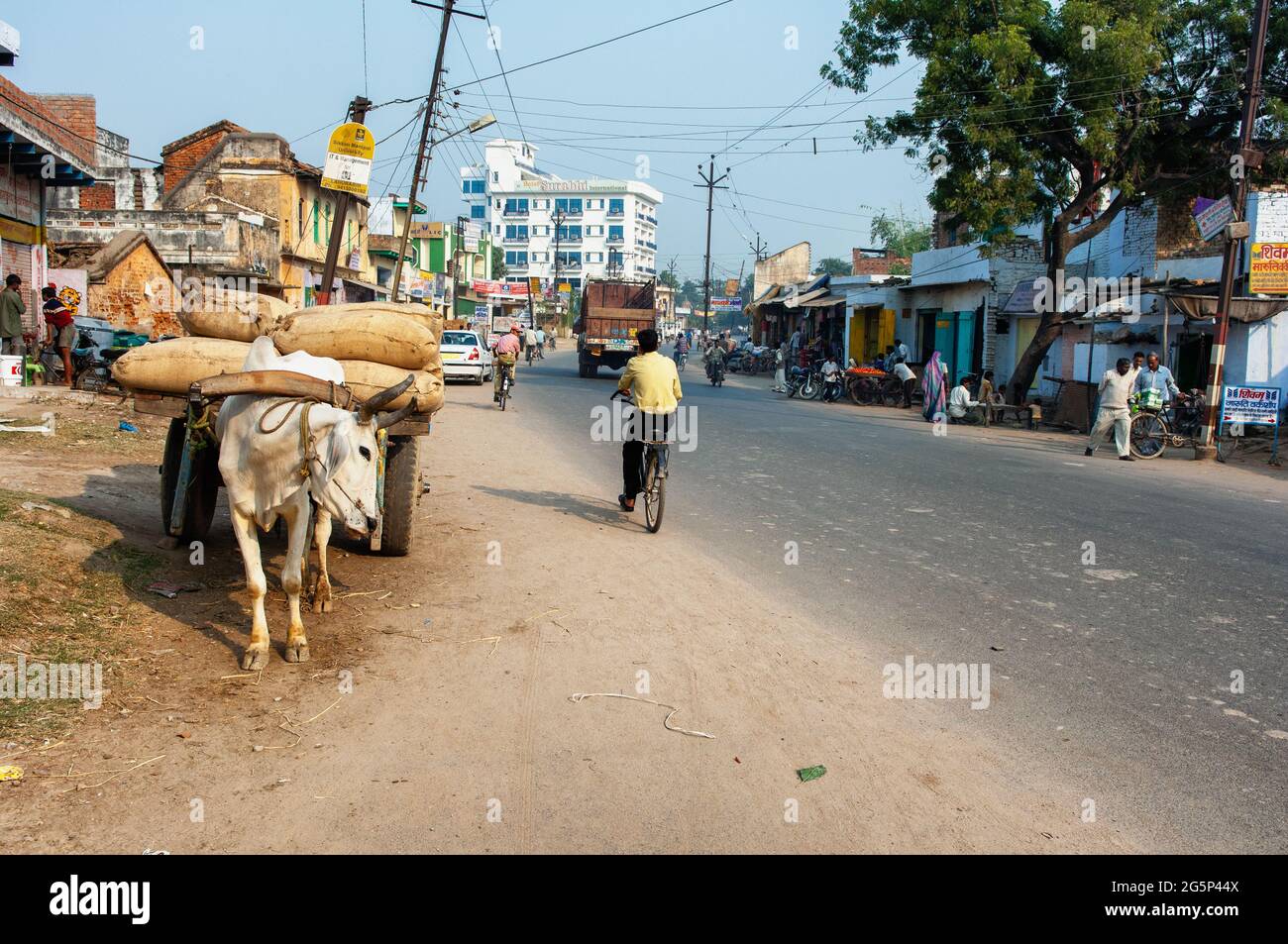 Ox and cart used for carrying heavy load, roadside at Sarnath, Varanasi ...