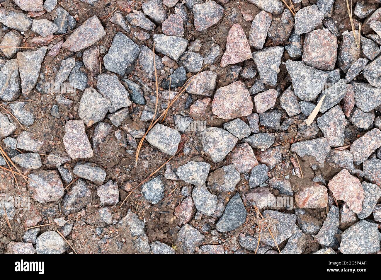 Wet moist ground with lots of granite stones and dry pine needles ...