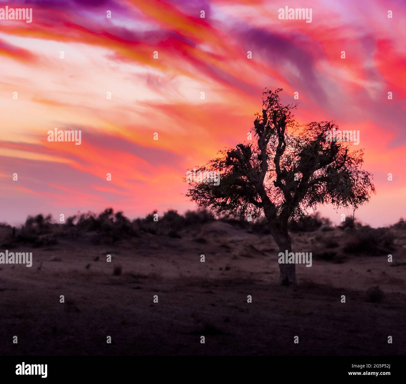 Red sky in desert during sunset Stock Photo - Alamy
