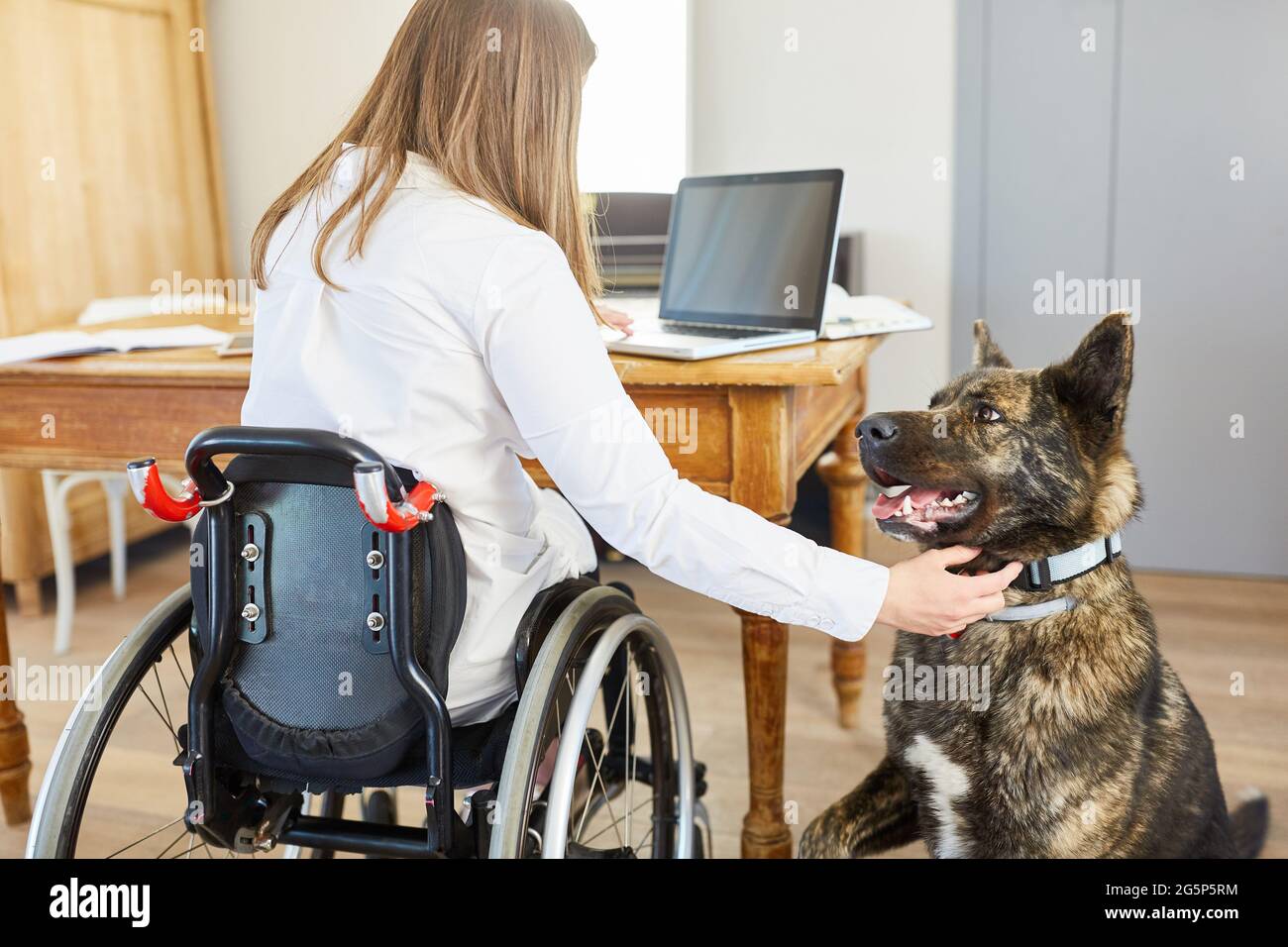 Disabled woman in a wheelchair at the computer in the home office with ...