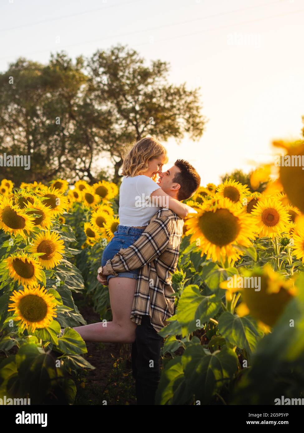 Boyfriend lifting her girlfriend up in a sunflower field Stock Photo ...