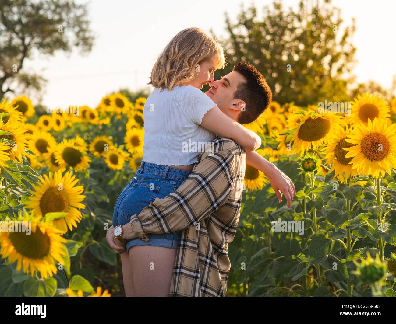 Boyfriend lifting her girlfriend up in a sunflower field Stock Photo ...