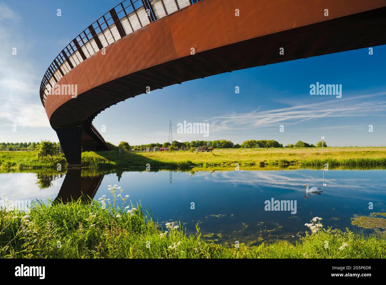 A swan passes hi-res stock photography and images - Alamy