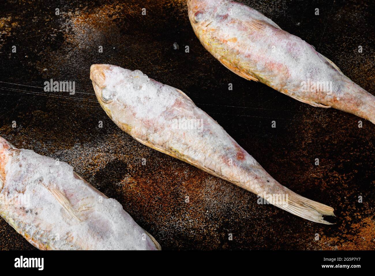 Frozen surmullet fish set, on old dark rustic table background Stock ...