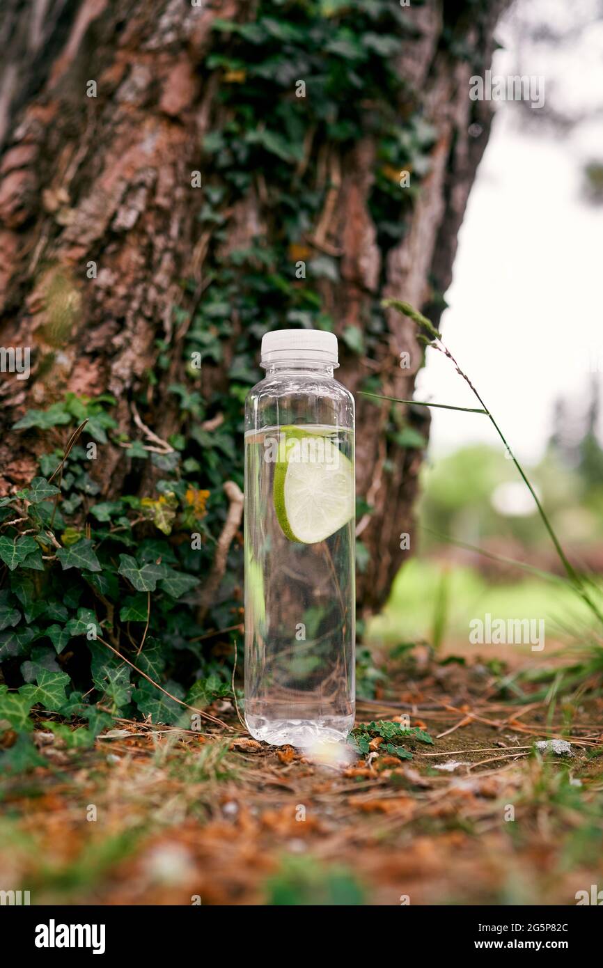 Plastic entwined tree hi-res stock photography and images - Alamy