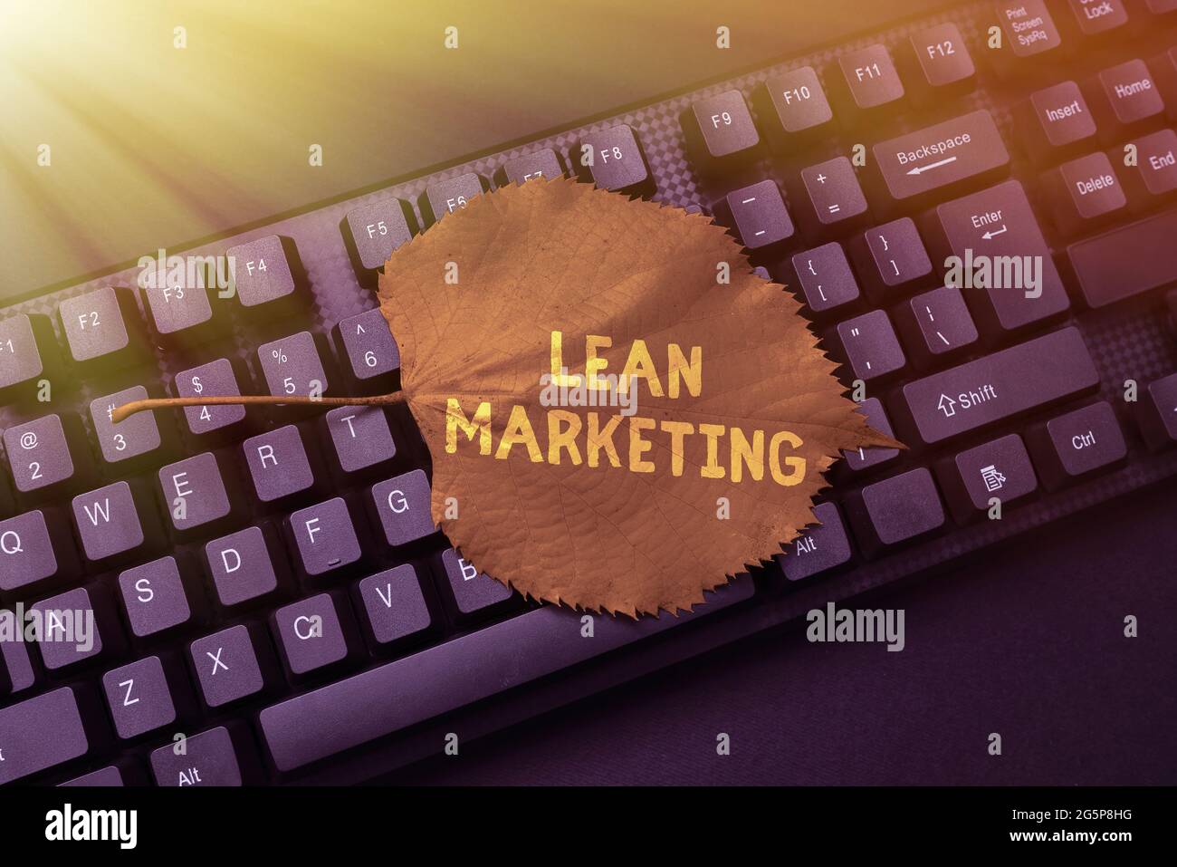 Inspiration showing sign Lean Marketing. Business idea in charge of ...