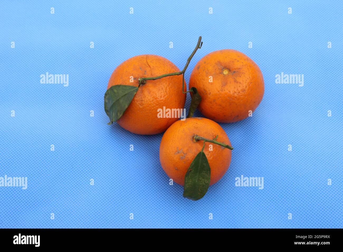 Closeup of three juicy mandarins on the blue surface Stock Photo - Alamy