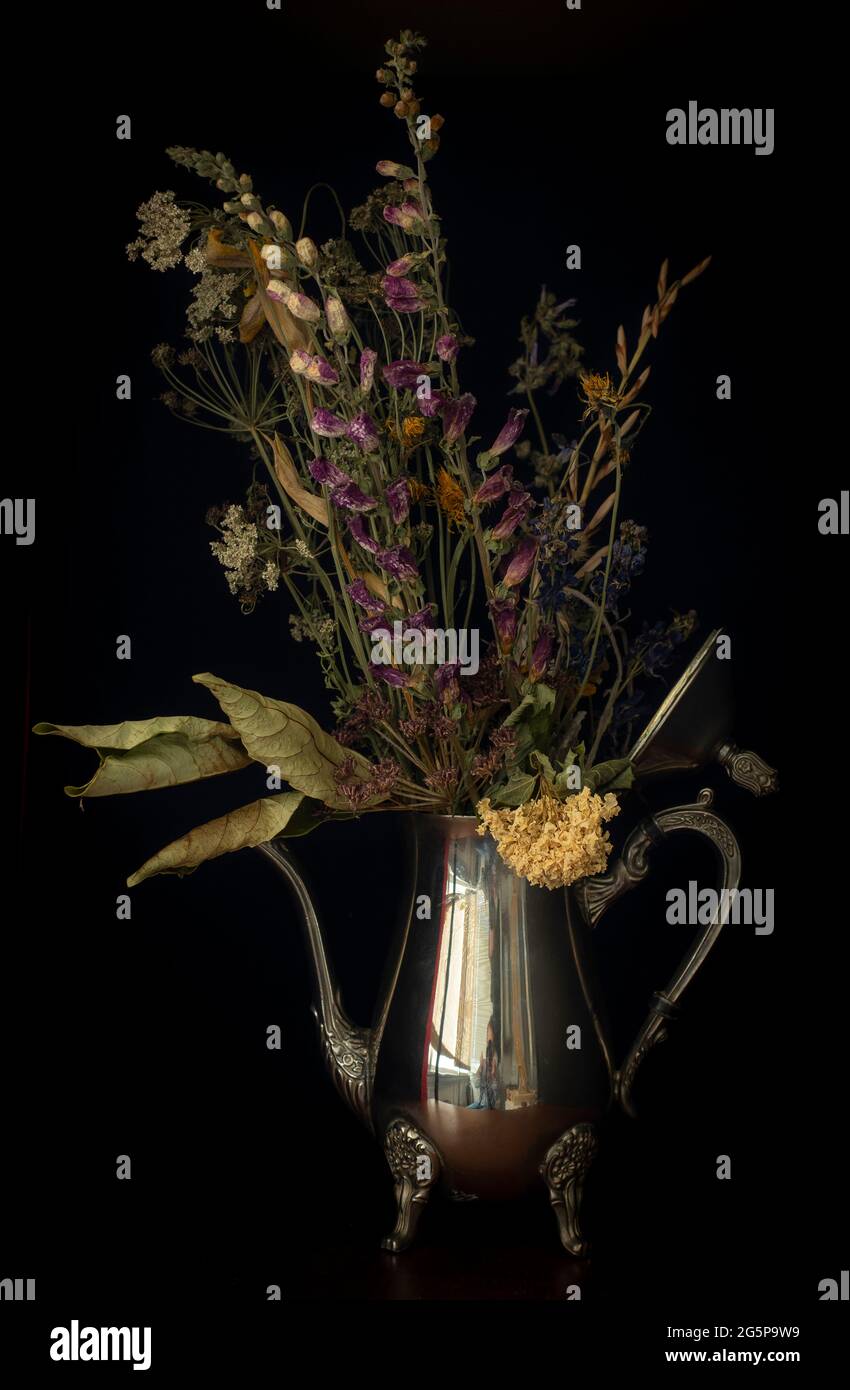 Teapot with Dried Flowers Still Life Reference Black Backdrop Stock ...