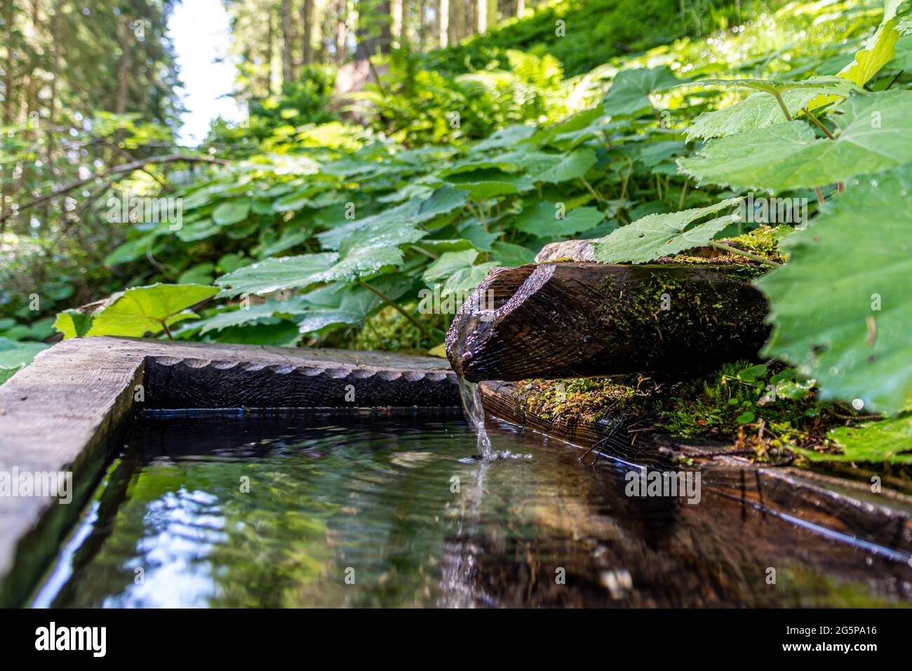 Drinking water fountain made of wood with fresh spring water in a ...