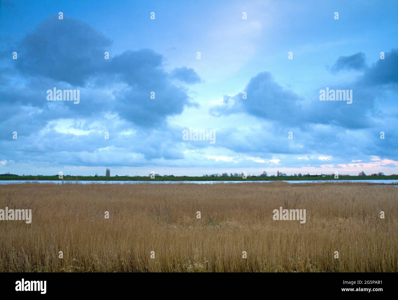Grainfield with cloudy blue skies Stock Photo - Alamy