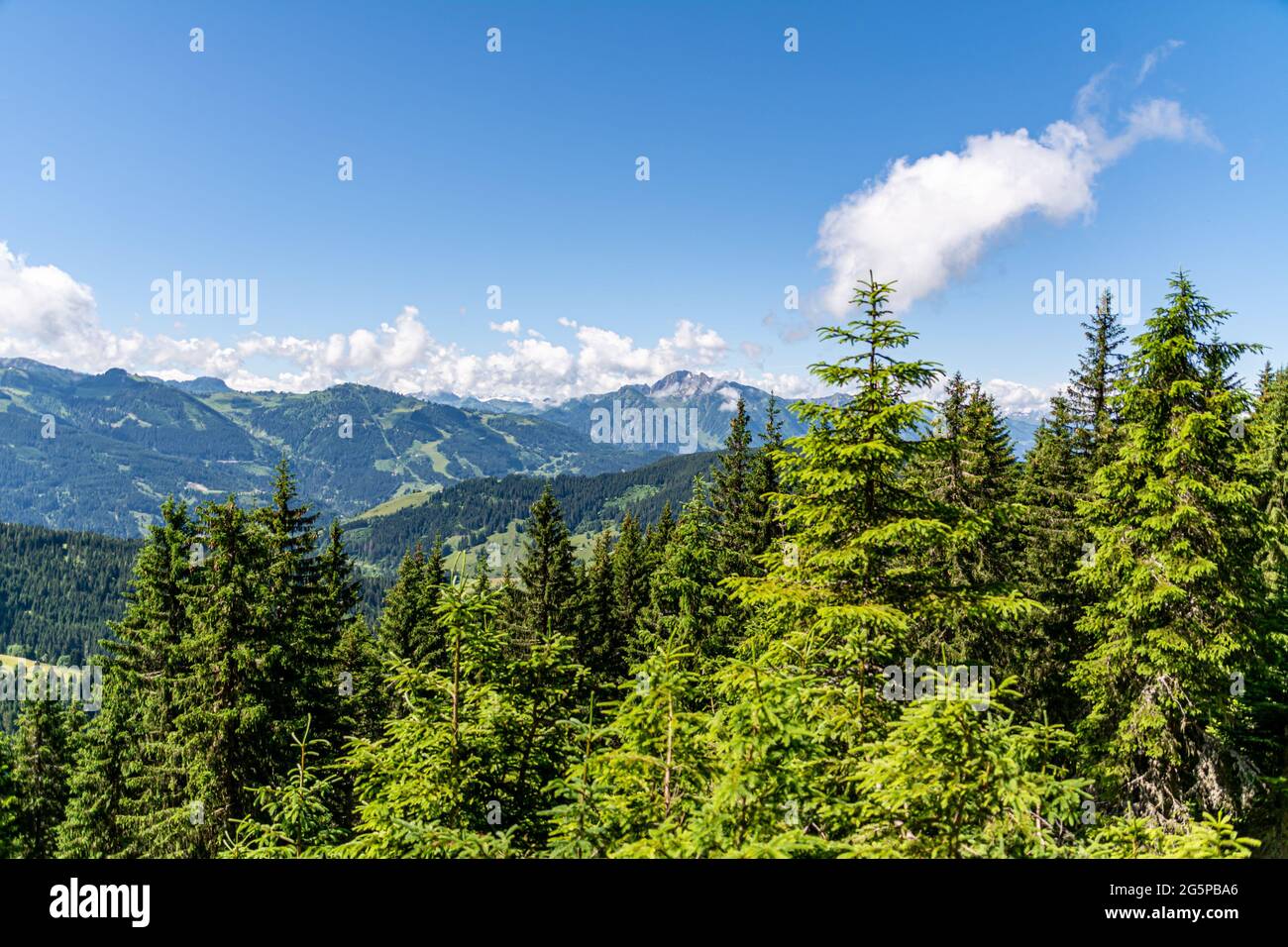 Panoramic view over the Austrian Alps with a hiking trail, trees, and a ...