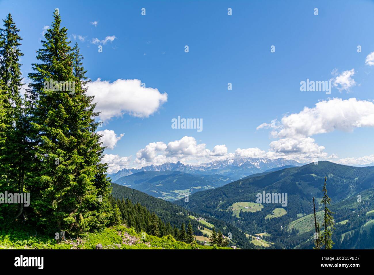 Panoramic view over the Austrian Alps with a hiking trail, trees, and a ...