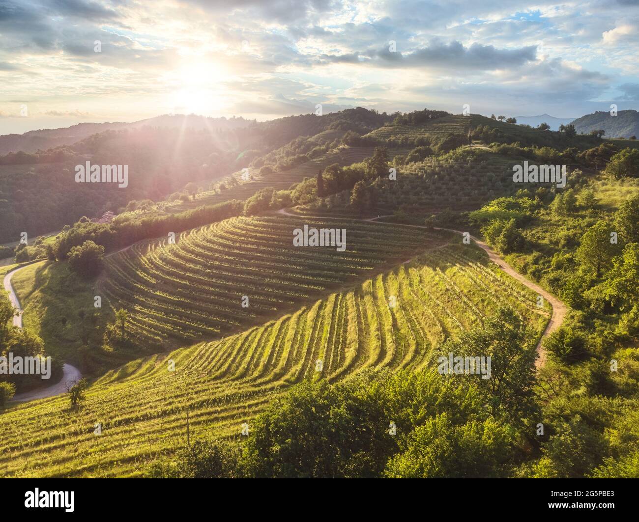 Aerial view of beautiful terraces countryside during sunlight ...