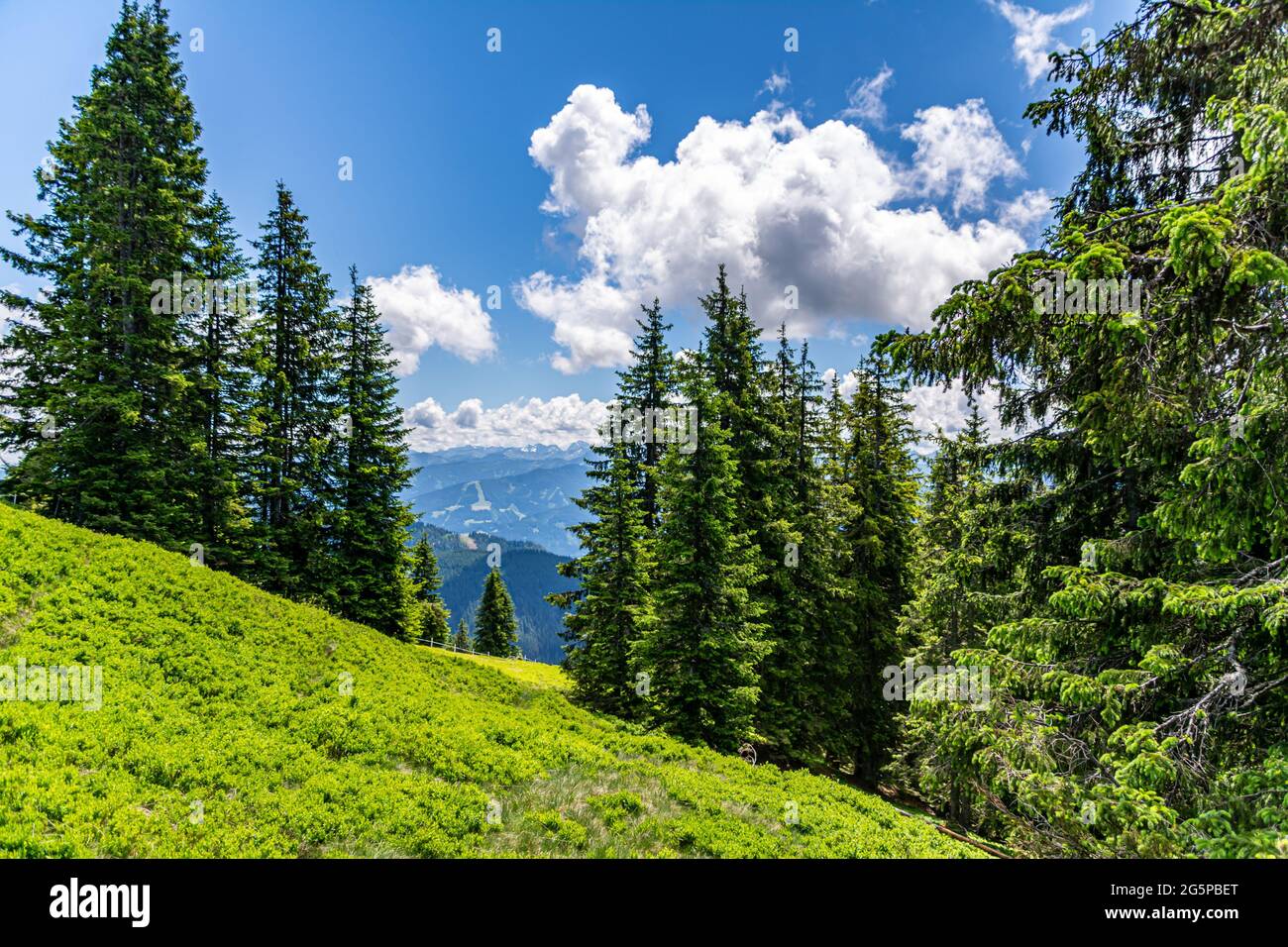Panoramic view over the Austrian Alps with a hiking trail, trees, and a ...