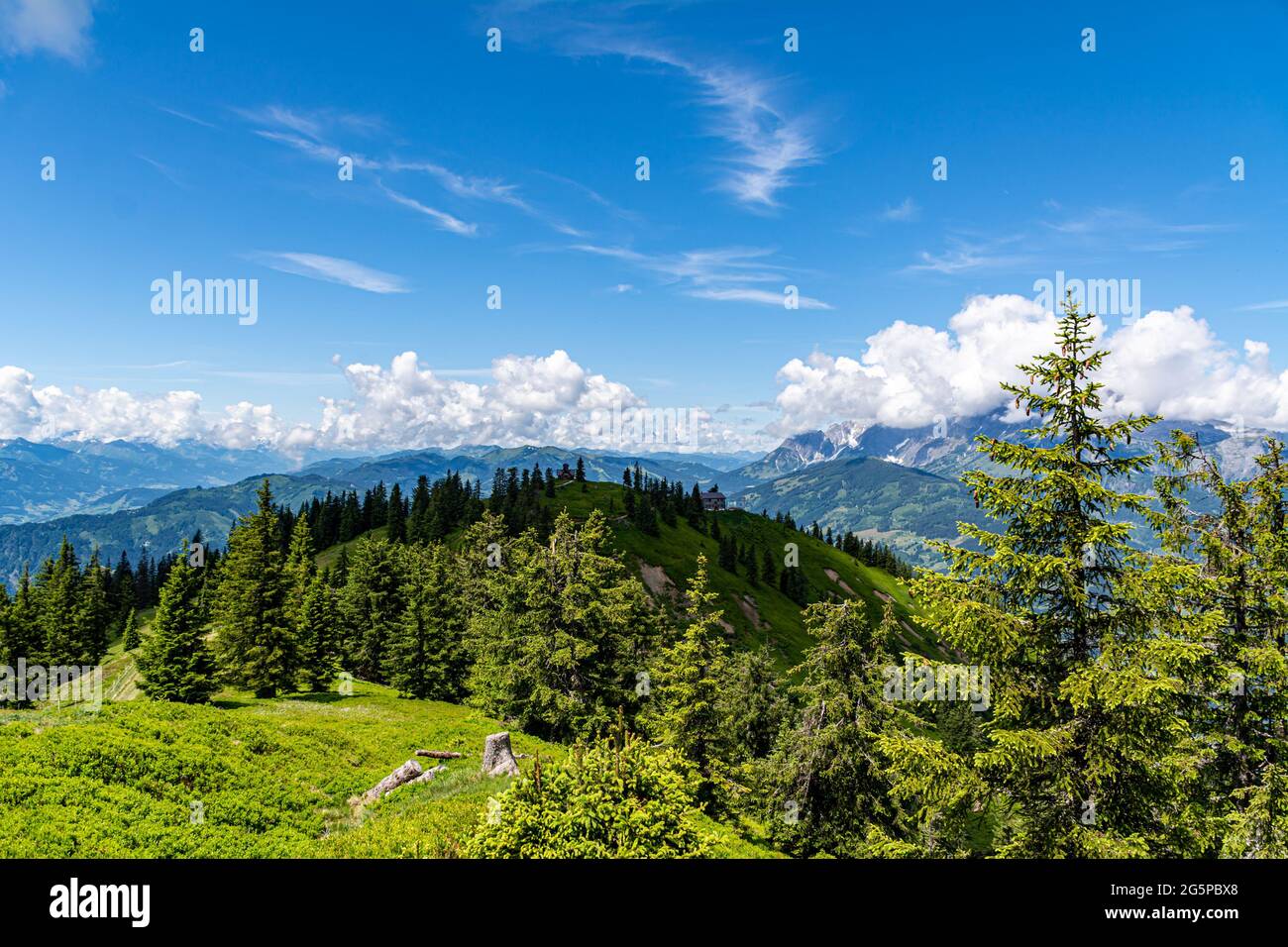 Panoramic view over the Austrian Alps with a hiking trail, trees, and a ...