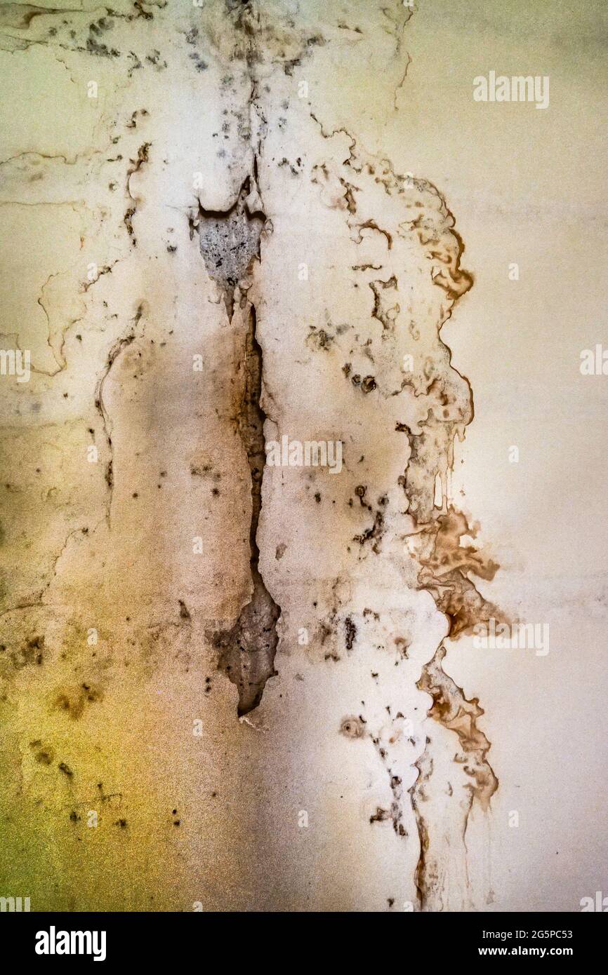 Decaying wallpaper on a wall of an abandoned housen conceptual ...