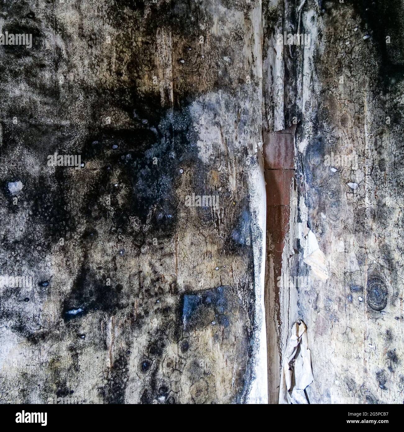 Graphical motives, old altered tapestry, Conceptual photography, France ...