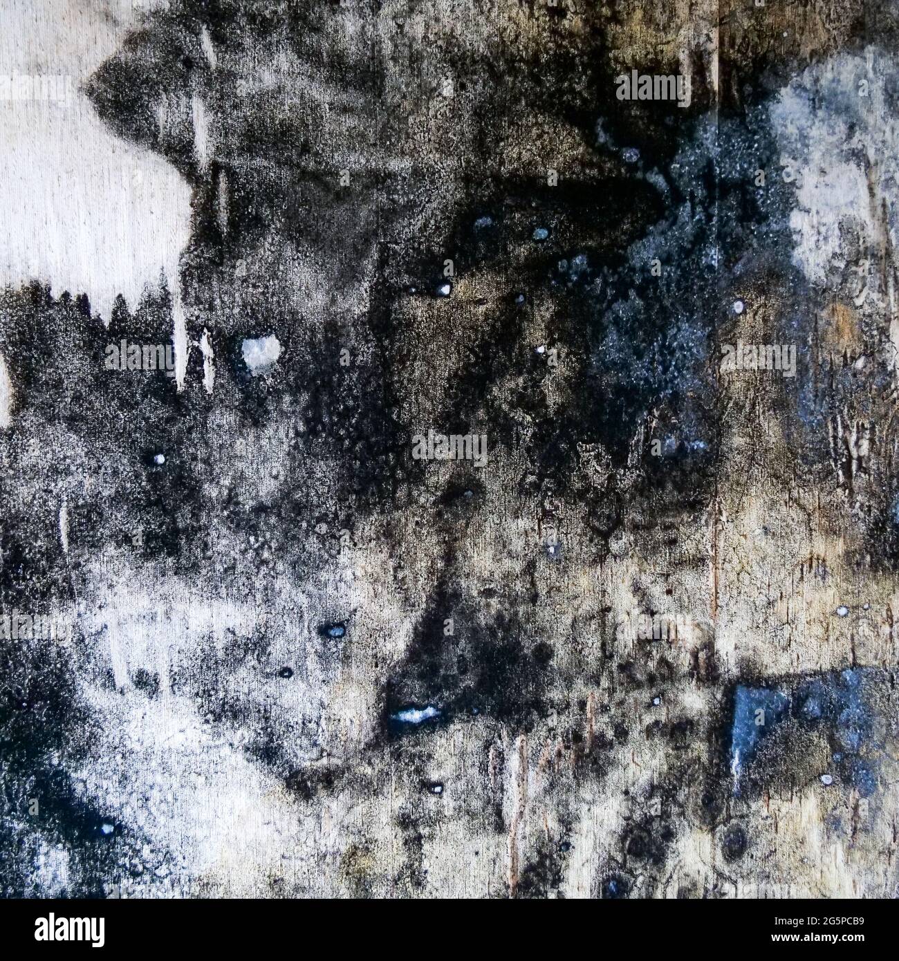 Graphical motives, old altered tapestry, Conceptual photography, France ...