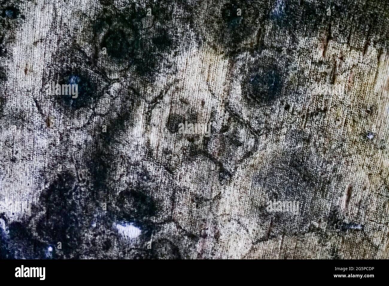 Graphical motives, old altered tapestry, Conceptual photography, France ...