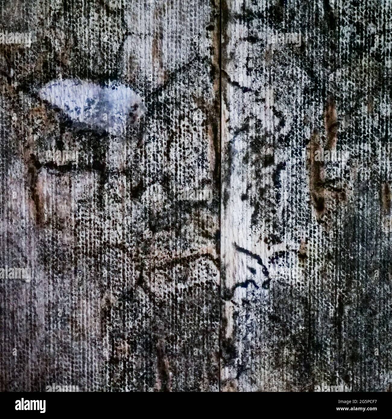 Graphical motives, old altered tapestry, Conceptual photography, France ...