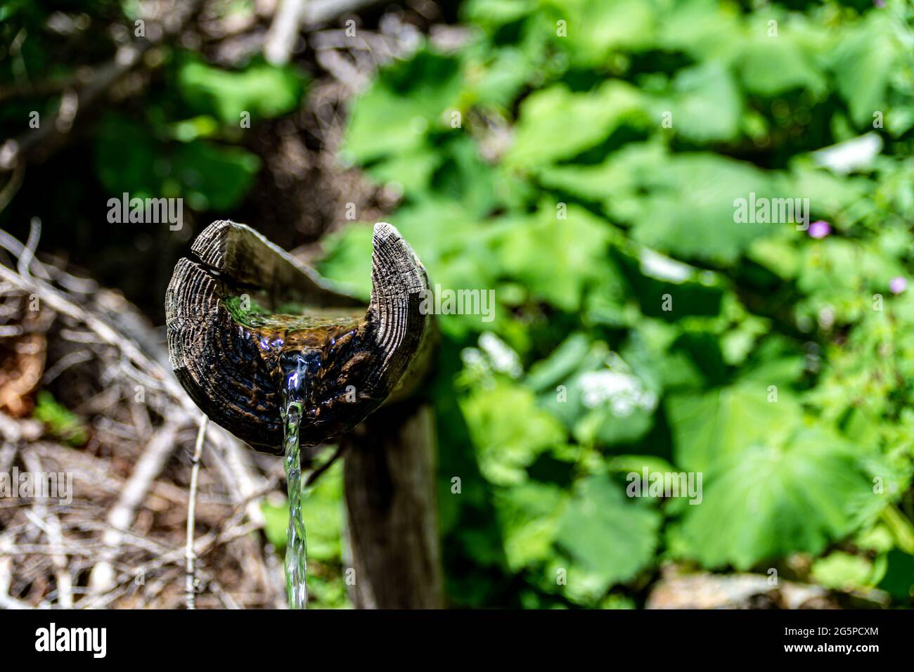 Close up of a fresh water source. Mountain water source from a wooden ...