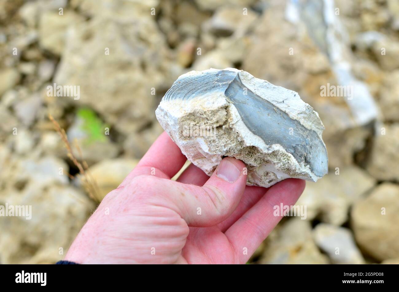 Natural stone dolomite in the limestone open-pit. Building materials ...