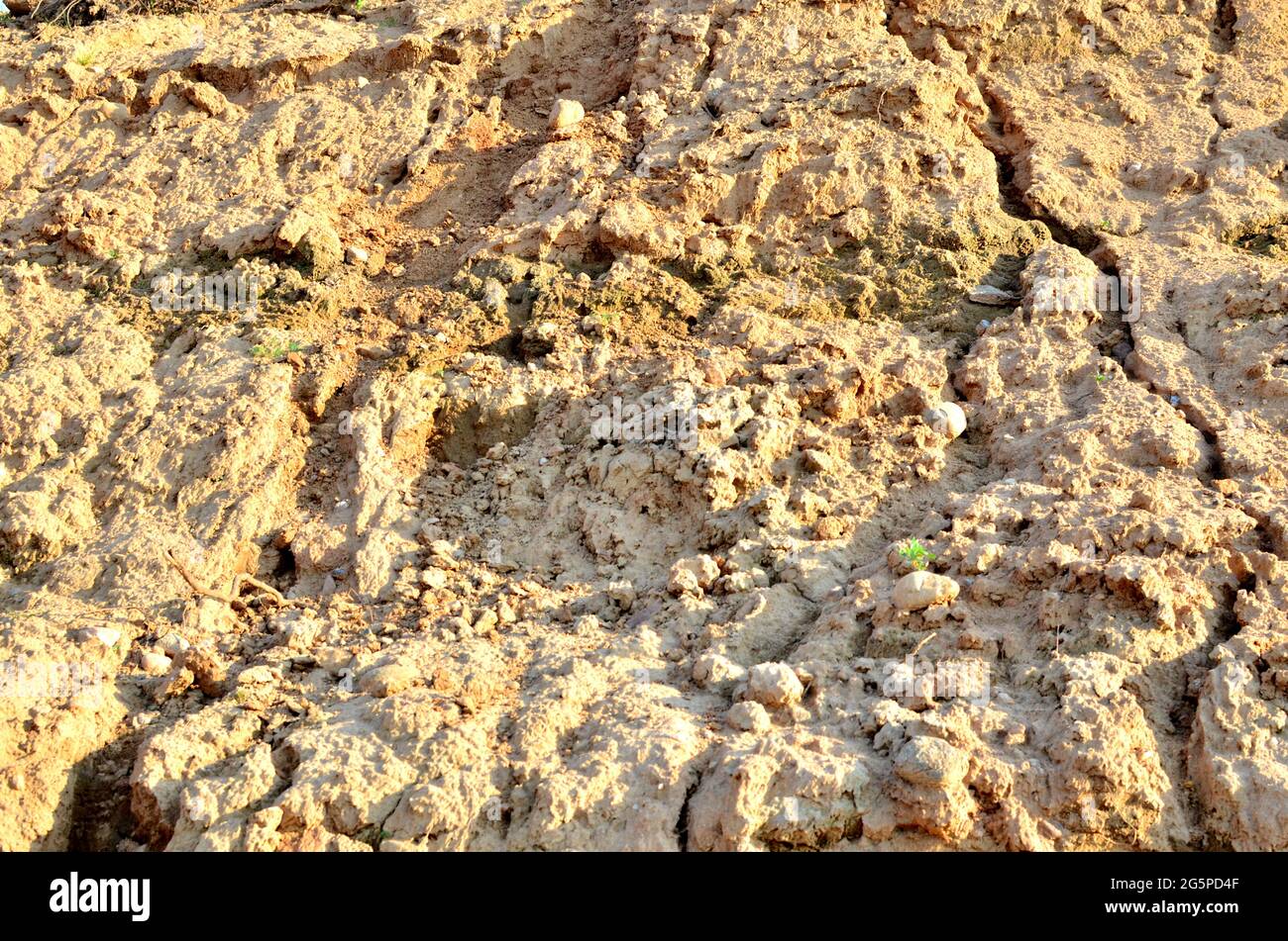 The texture of the many layers of sandy rock under the ground: clay ...