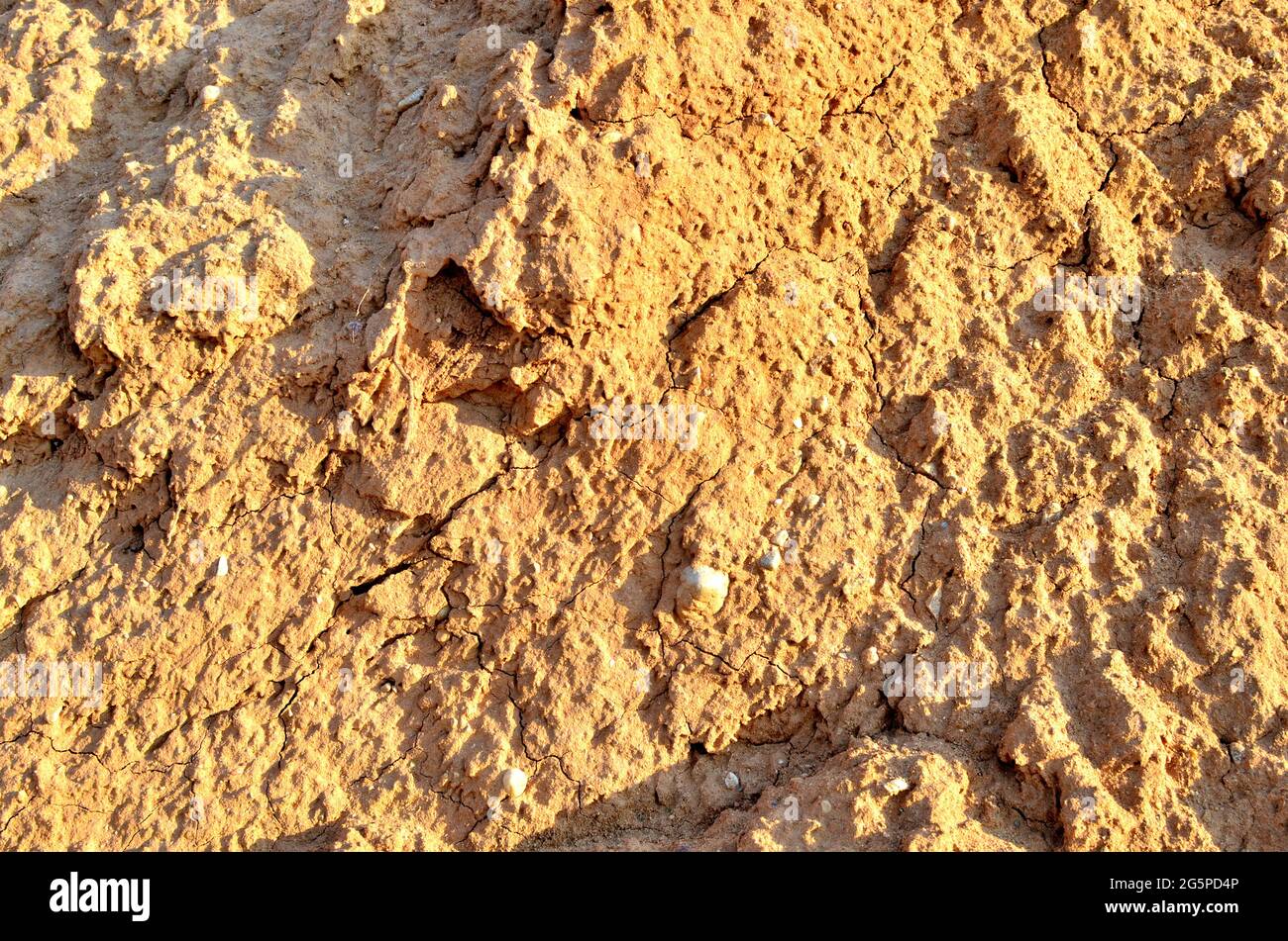 The texture of the many layers of sandy rock under the ground: clay ...