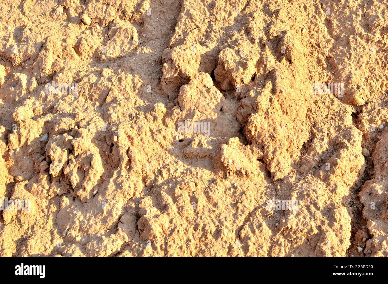 The texture of the many layers of sandy rock under the ground: clay ...
