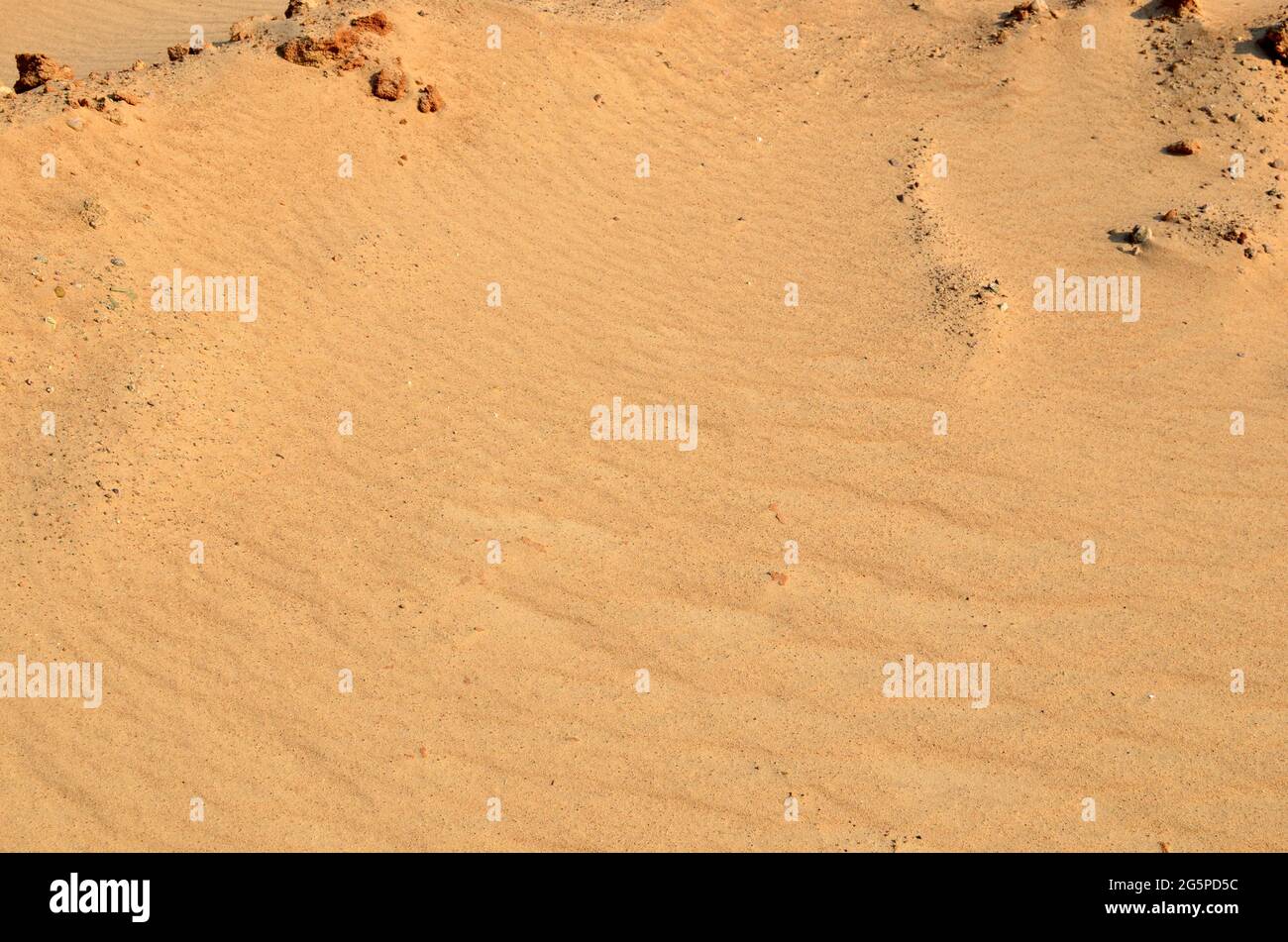 Sand texture from sand pile, geological study of the soil. Dunes and ...
