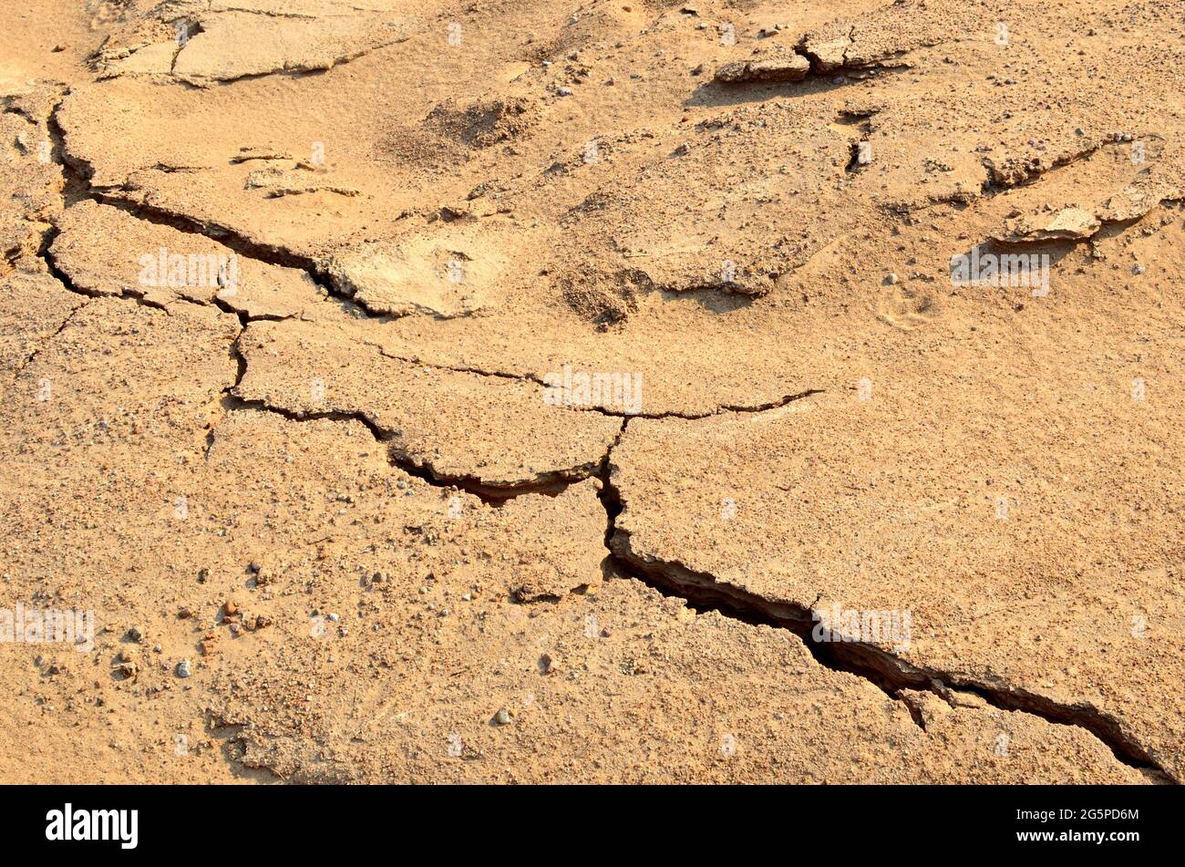 Dry lake or swamp in the process of drought and lack of rain or ...
