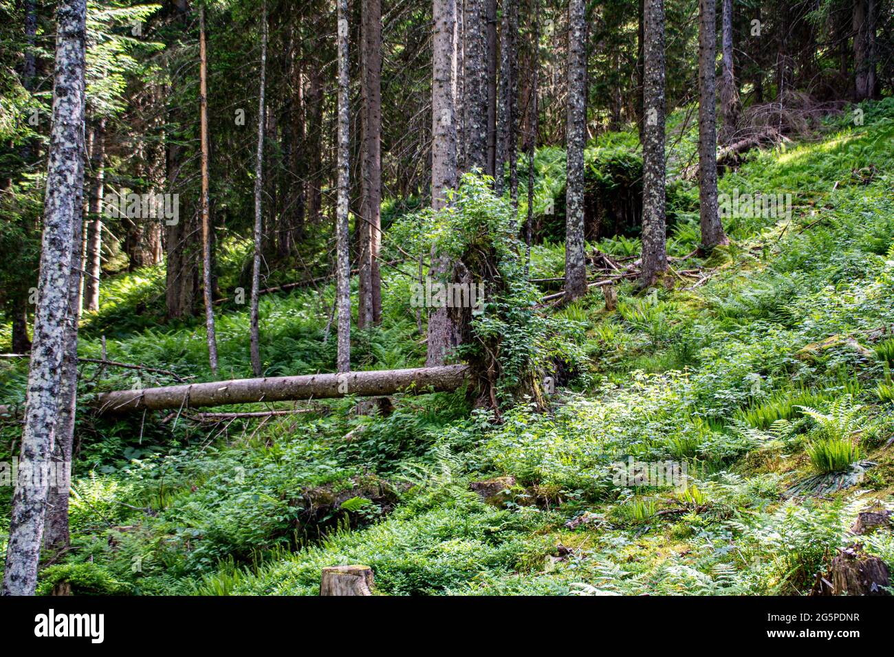 Beautiful scenery wallpapers hi-res stock photography and images - Alamy