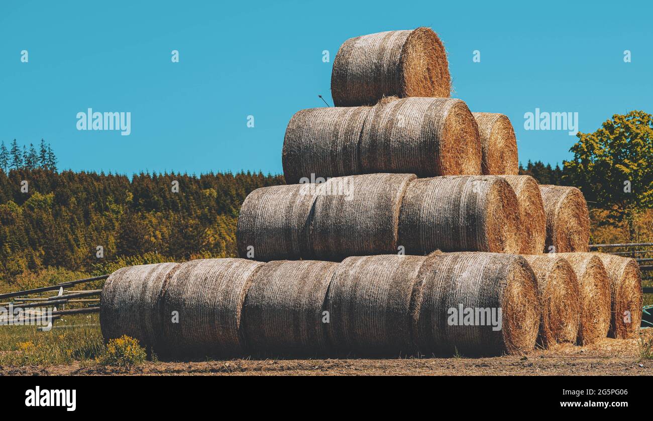 Buyart hi-res stock photography and images - Alamy