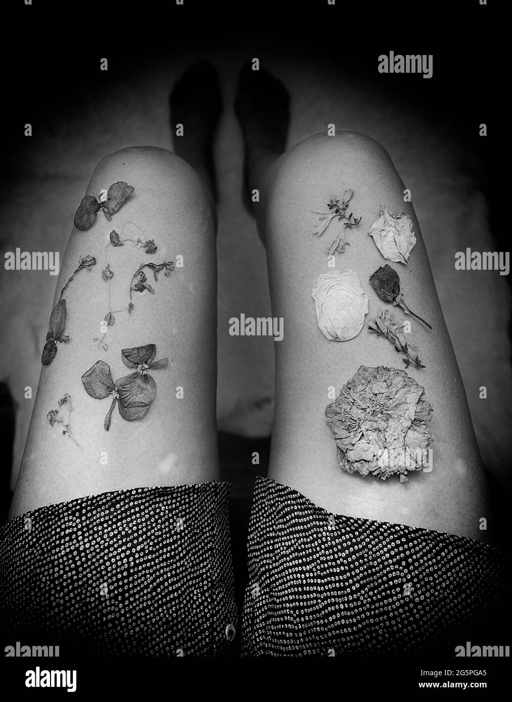 Beauty legs woman flowers hi-res stock photography and images - Alamy