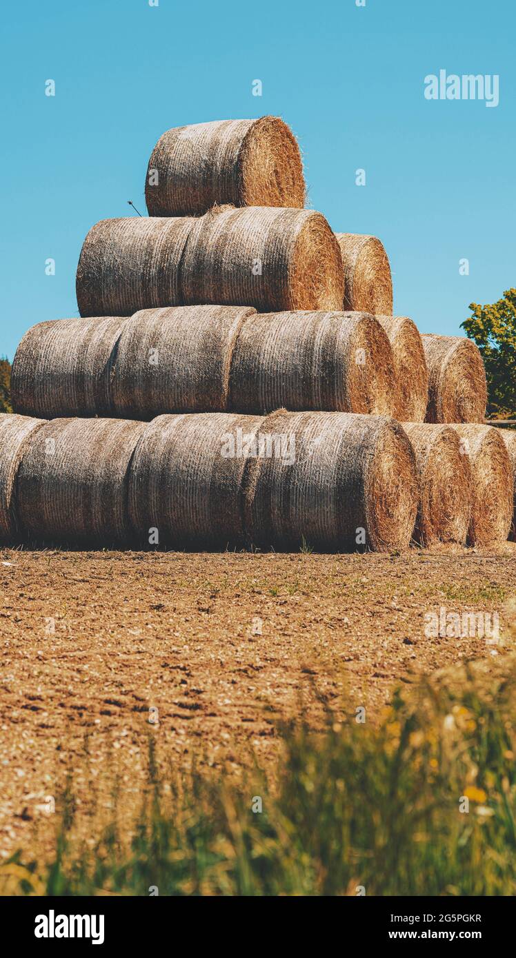 Geometric Hay Stack Forms in Nature Stock Photo - Alamy