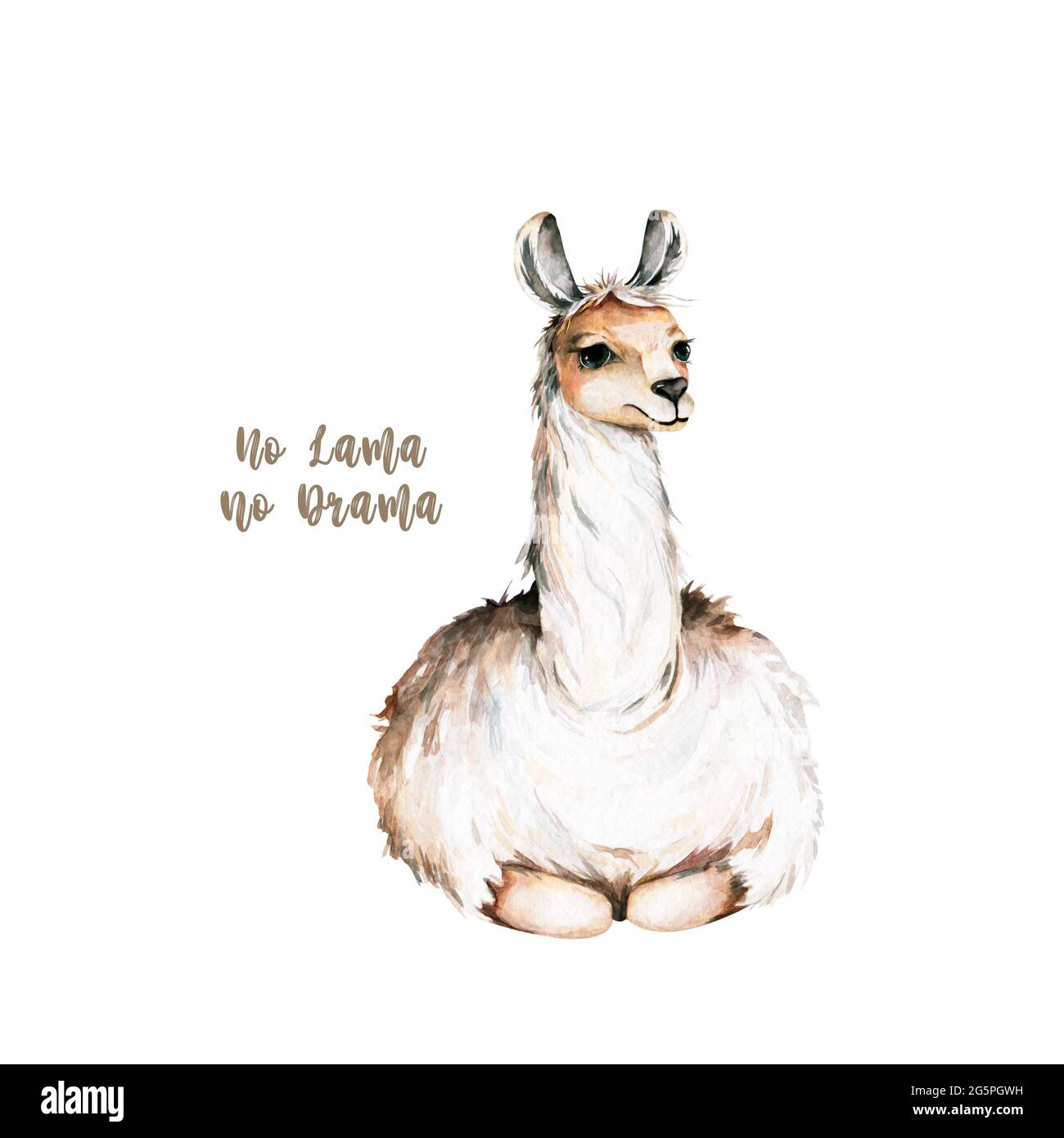 Chill lama hi-res stock photography and images - Alamy