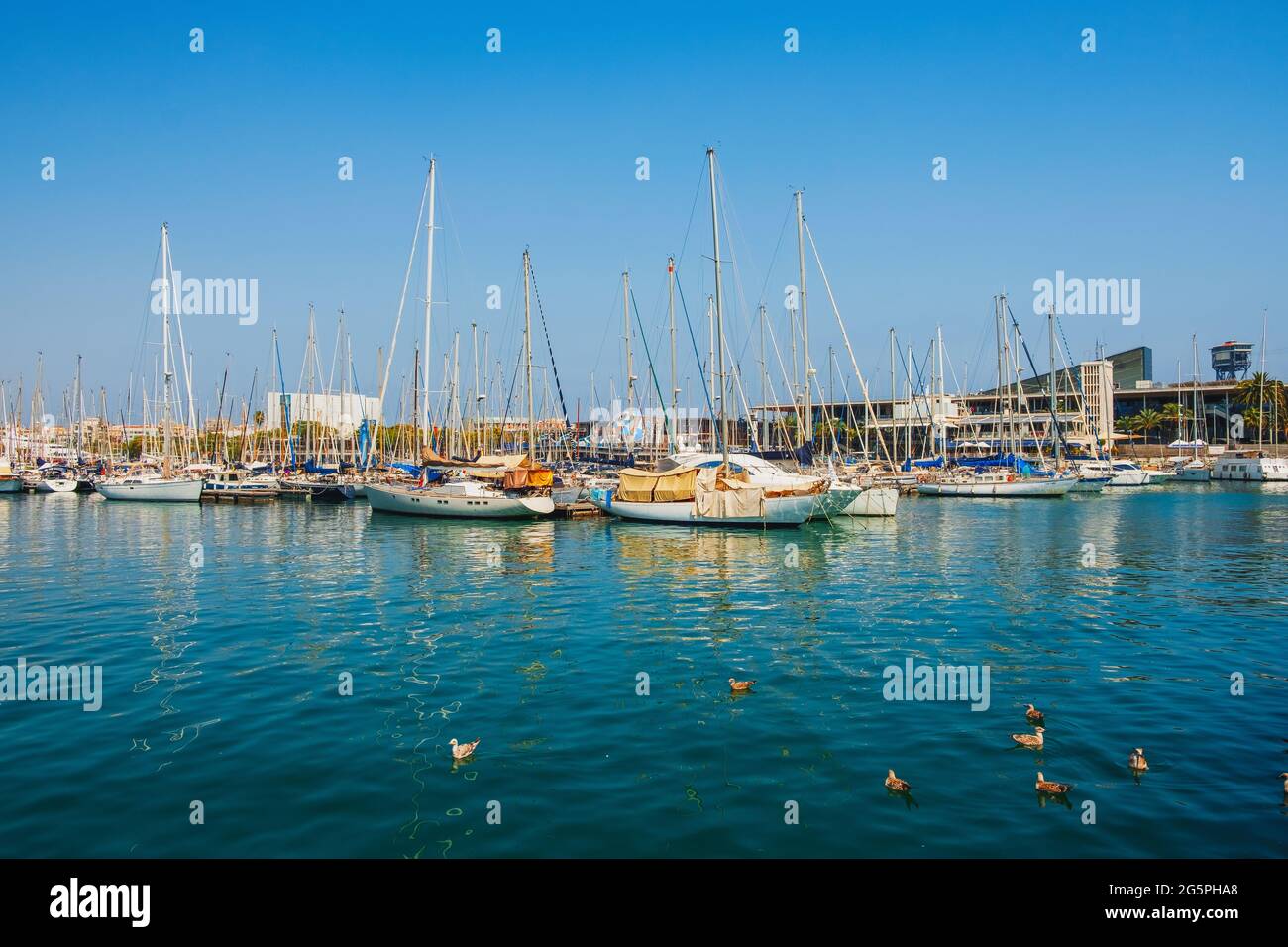 The port of the city of Barcelona with many sailing ships. Europe's ...