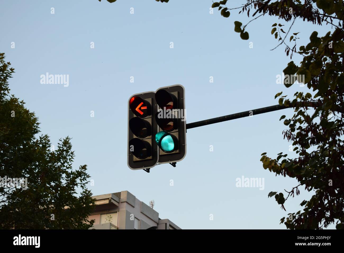 traffic light with tree leaves around Stock Photo - Alamy