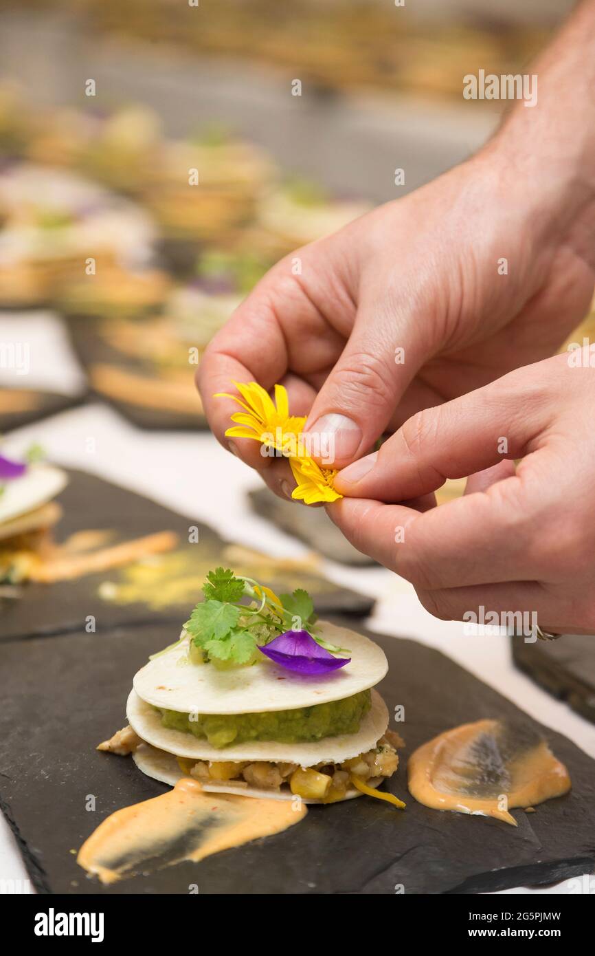 Social events reception; tasty snacks for guests at the reception Stock ...