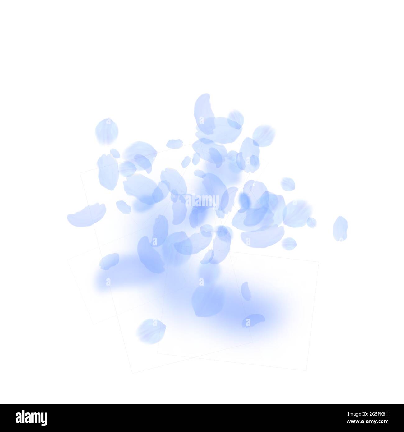 Dark blue flower petals falling down. Quaint romantic flowers explosion ...